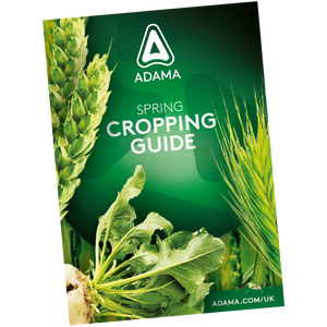 Cropping Guide